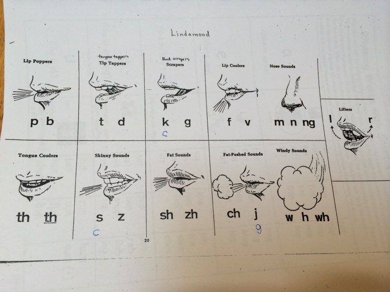 Long vowel sounds and words | English 4 Me 2